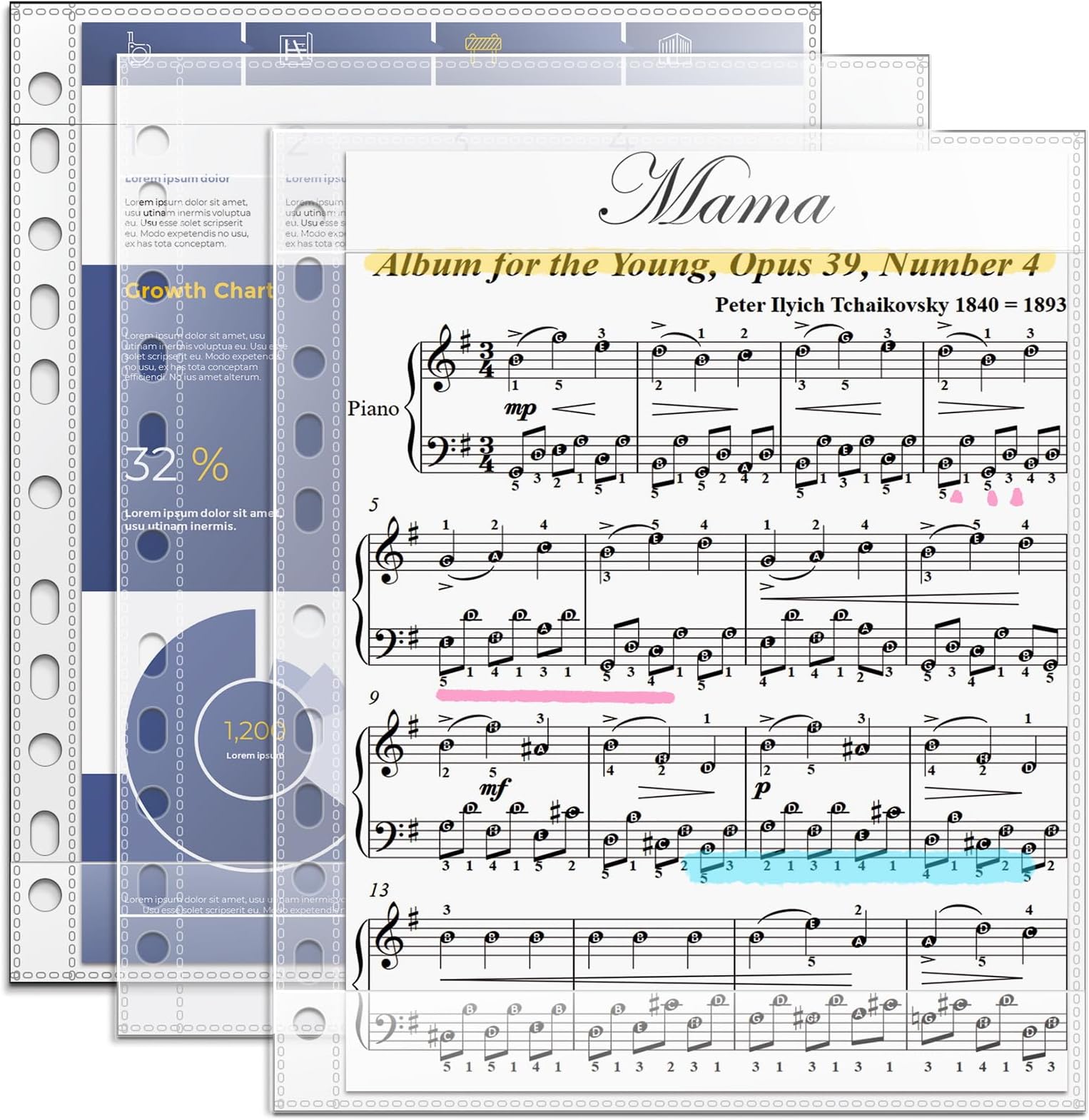 Music Notebook Sheet Music Folder With 30 Plastic Sleeves - Holds 60 ...