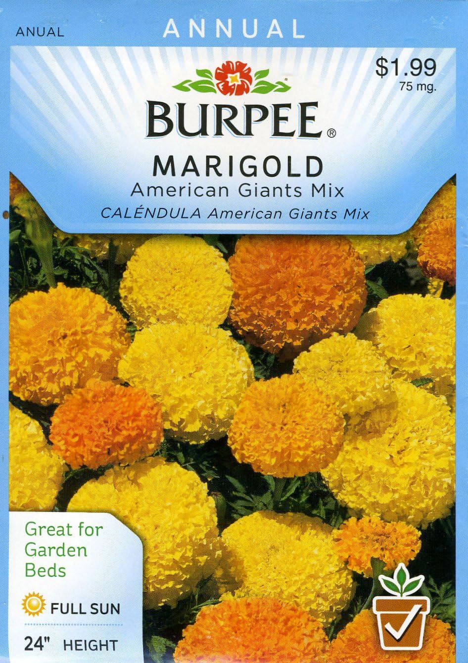 Amazon.com : Burpee 30851 Marigold, American American Giants Mix Seed ...