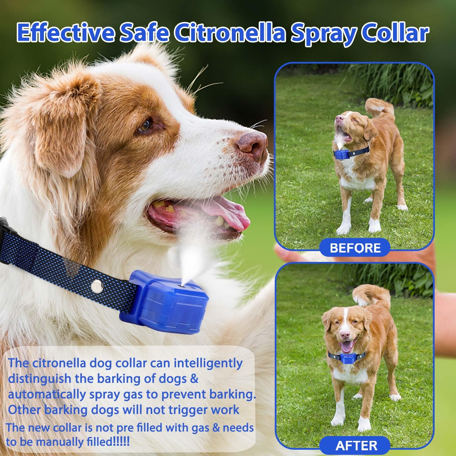 Citronella Bark Collar Small Dog Citronella Spray Bark Collar - Humane ...