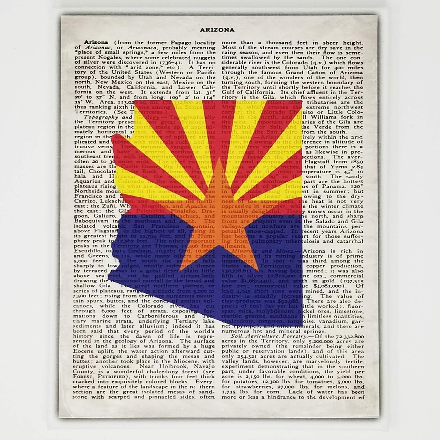 Amazon.com: Arizona Flag Canvas Wall Decor - 8x10 Decorative AZ State ...