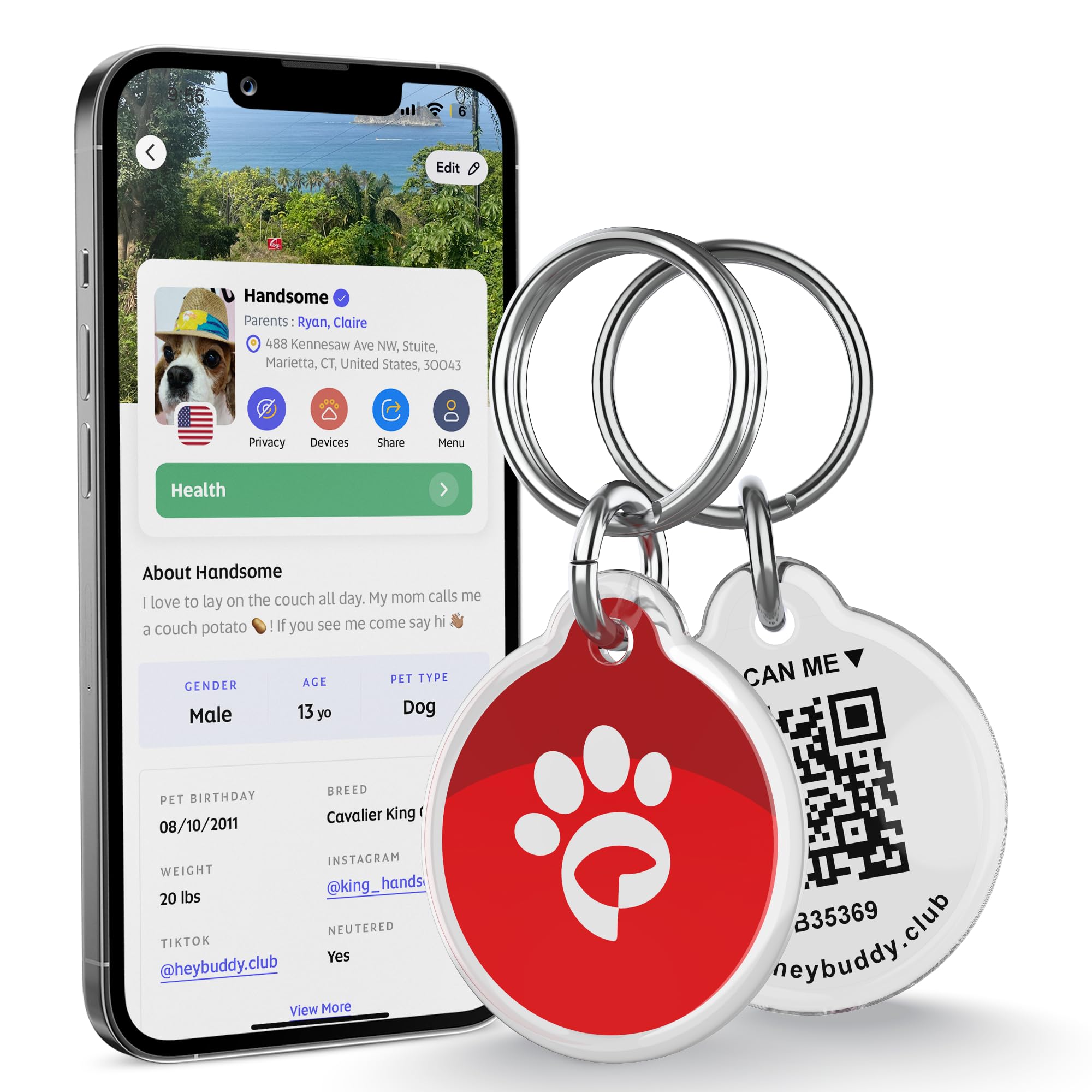 Amazon.com: HeyBuddy® QR Code Smart Pet Tags for Dogs & Cats ...