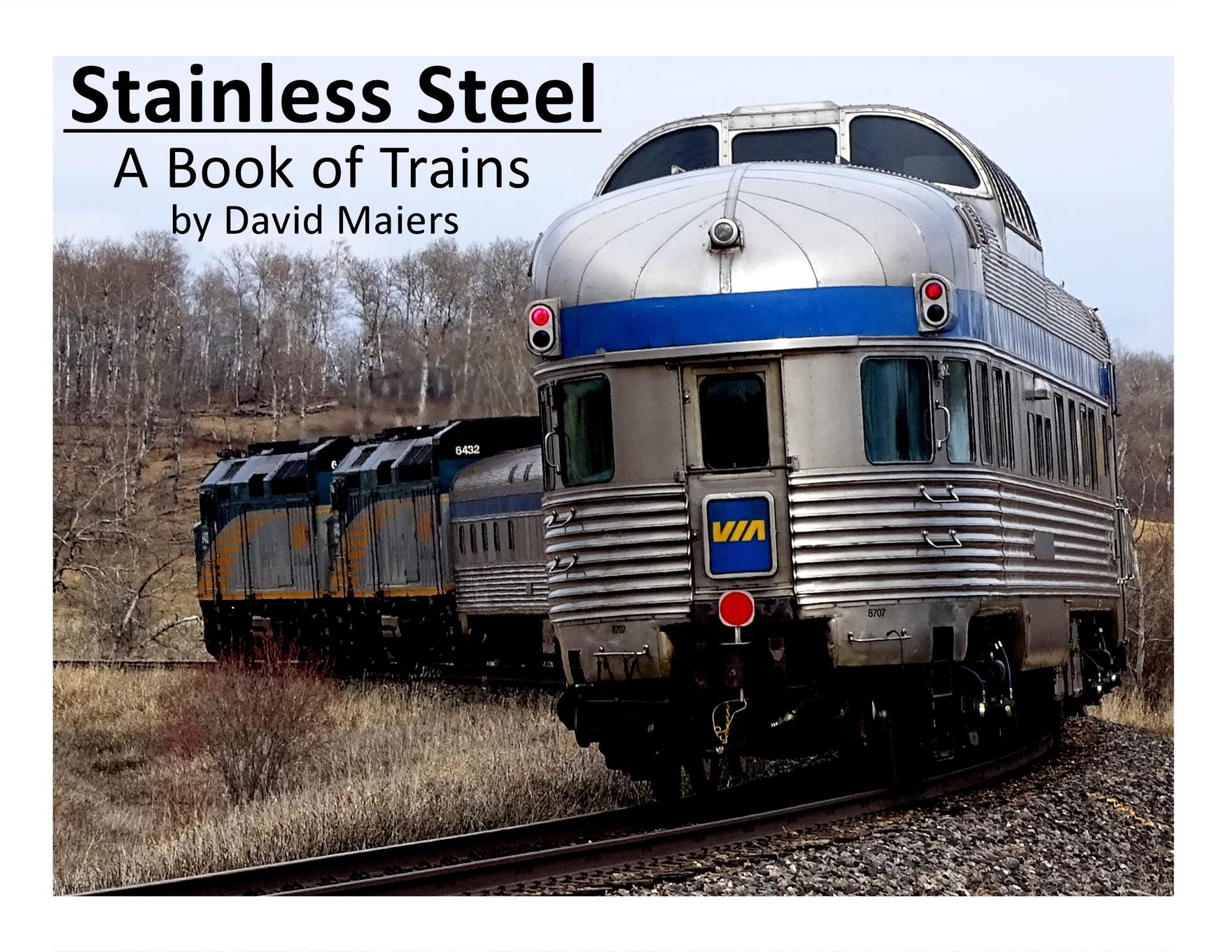 Stainless Steel - A Book of Trains (Color Edition): Maiers, David ...