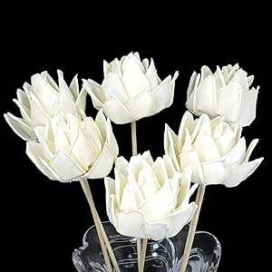 Amazon.com: Sola Wood Aroma Oil Diffuser Lotus Flowers with Rattan Reed ...