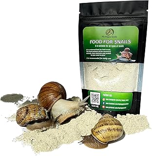 Snail Diet: What Snails Eat And Why | ShunKeto