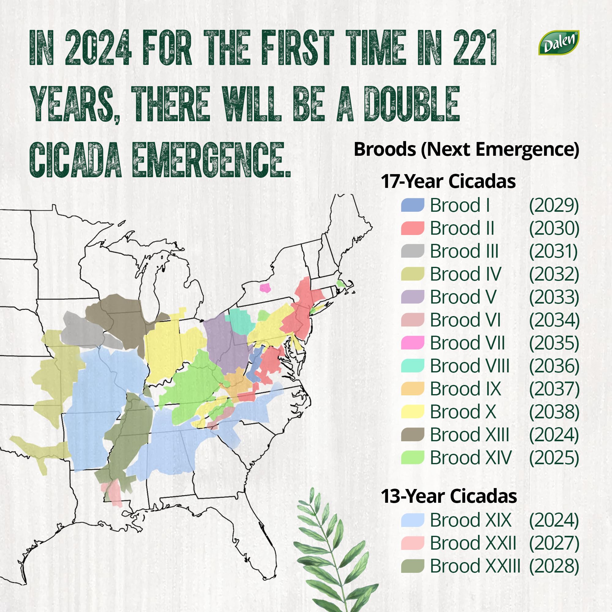 Snapklik.com : Dalen Cicada-X Tree & Shrub Protective Netting Protect ...