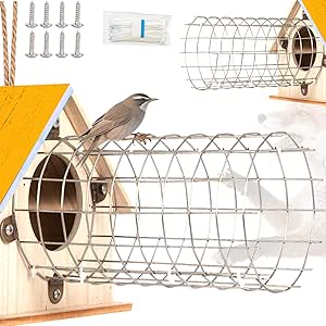 Amazon.com : SEIMMIE 2Pcs Bluebird House Predator Guards,Metal Predator ...