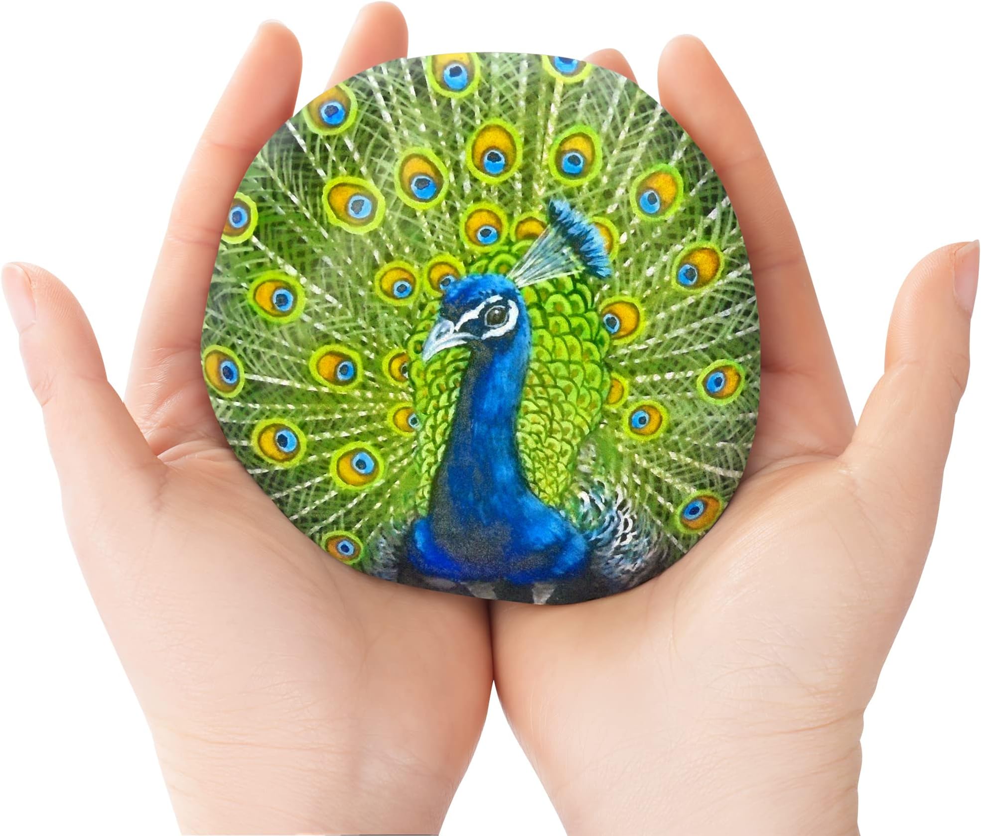 Amazon.com: ROCART 24 Extra Large Smooth River Rocks for Painting, Flat ...