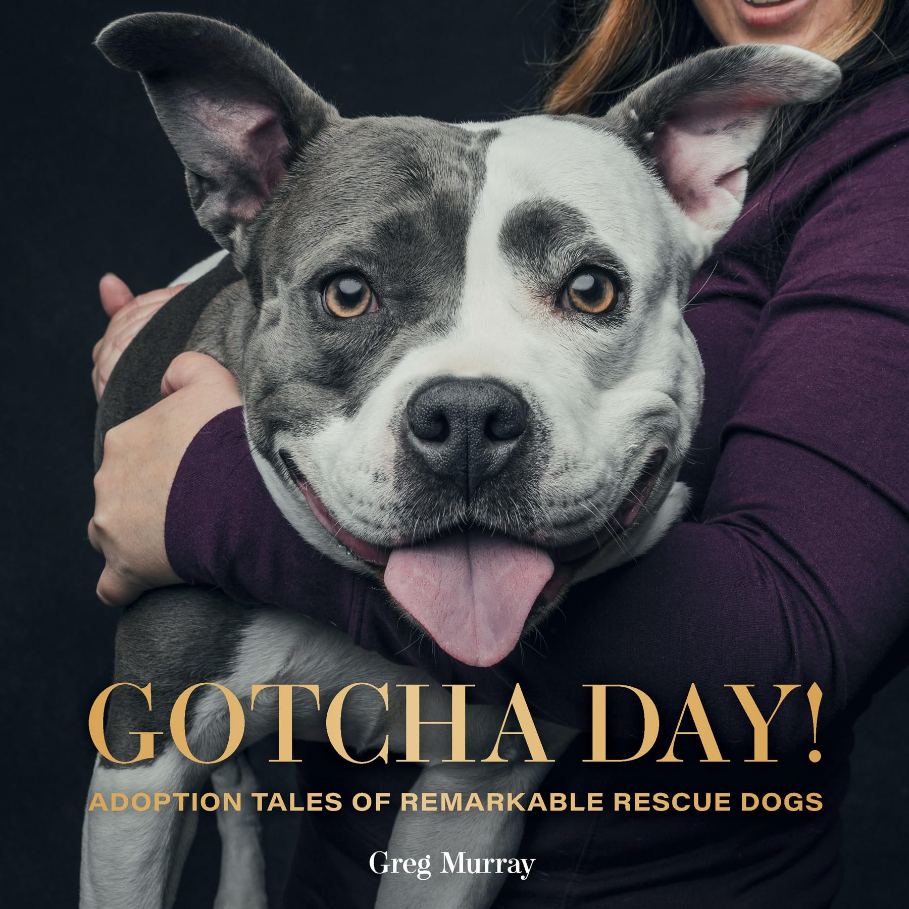 Amazon.com: Gotcha Day!: Adoption Tales of Remarkable Rescue Dogs ...