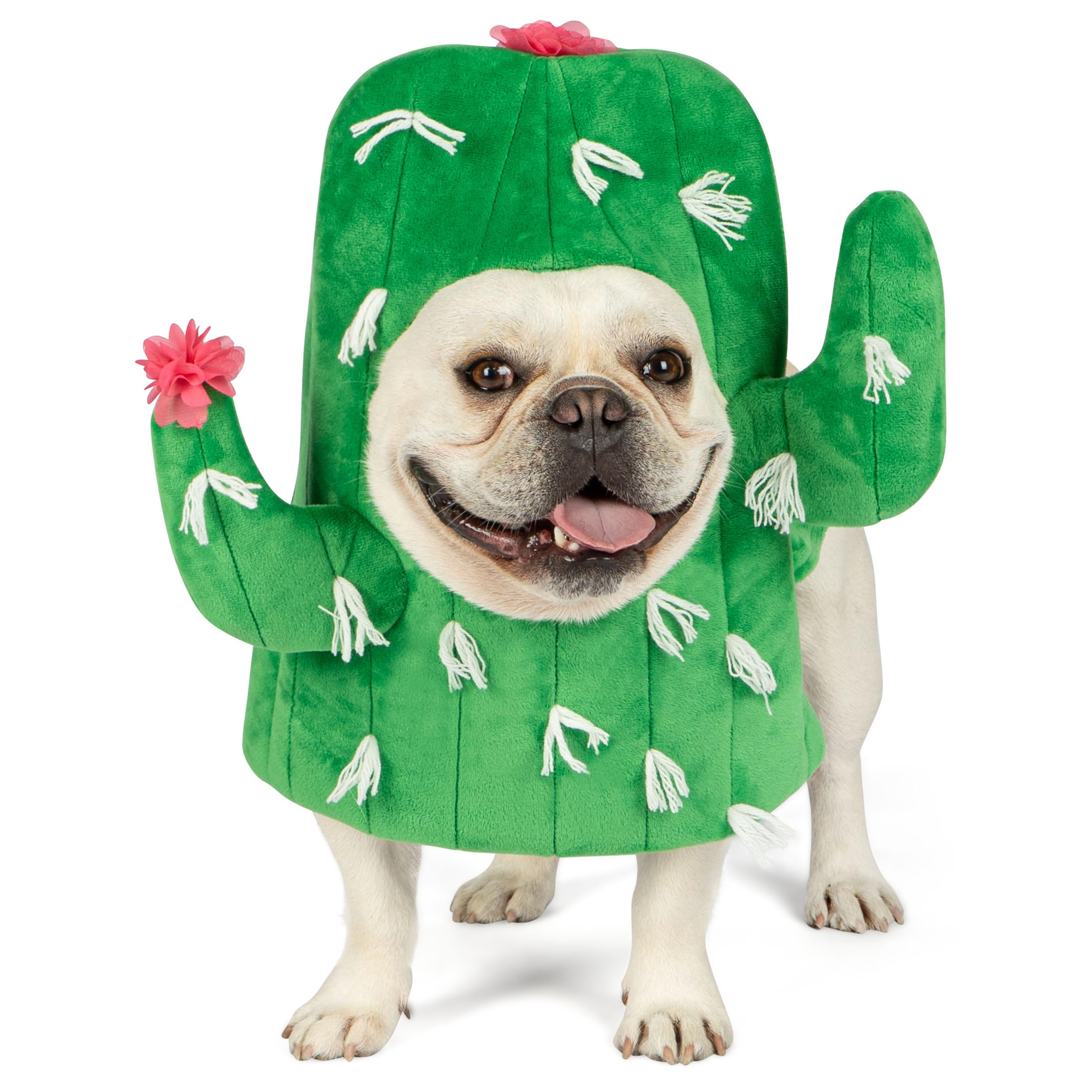 Snapklik.com : Cyeollo Funny Cactus Dog Costume