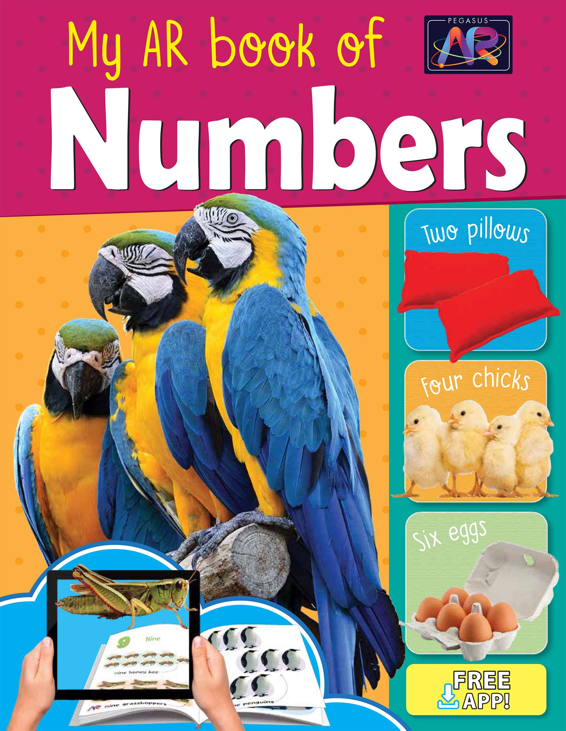 My Book of Numbers: Pegasus Team: 9788131947203: Amazon.com: Books