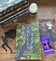 Amazon.com: Valley: The Glacian Trilogy, Book III: 9781915202413 ...