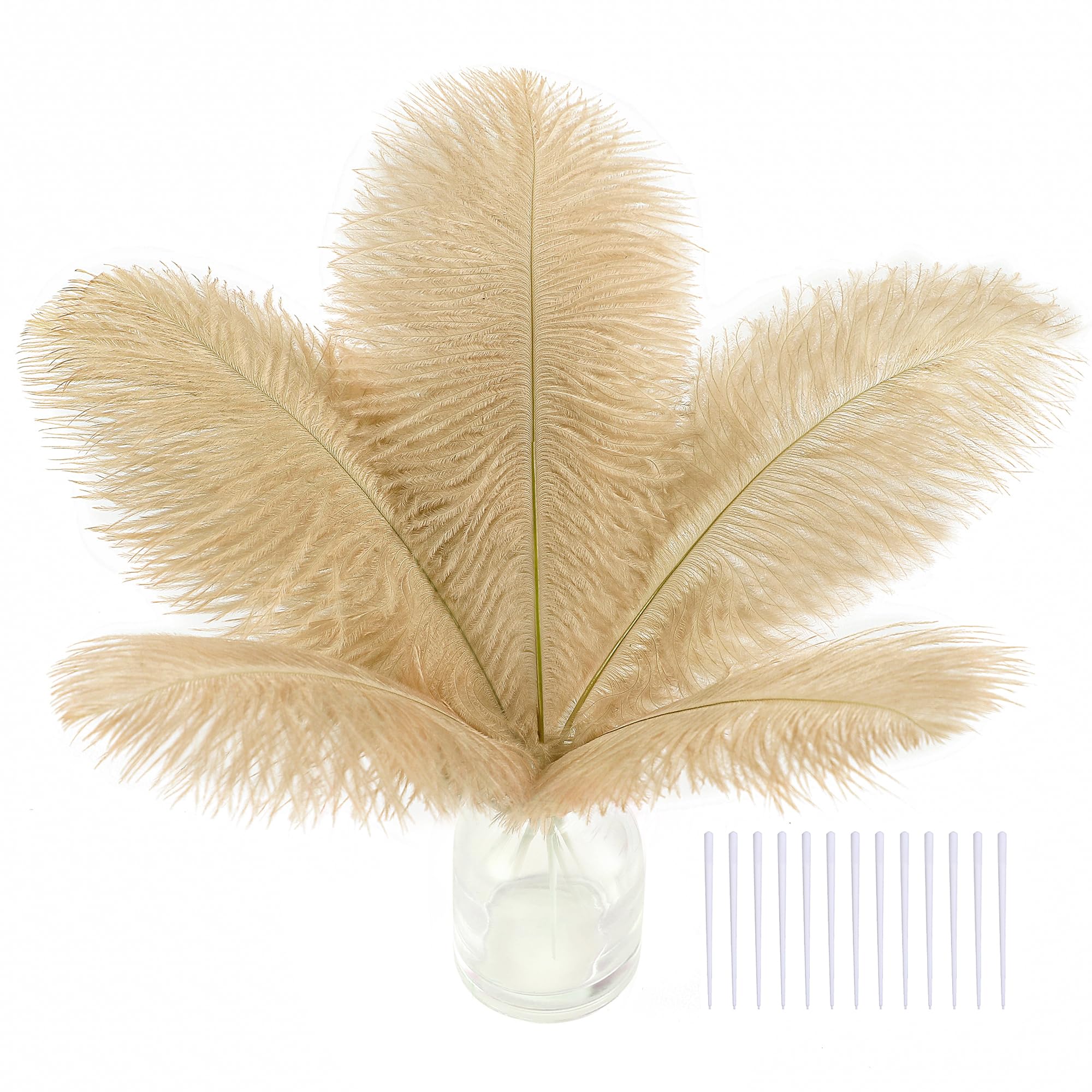Amazon.com: SOGUGOM Champagne Craft Ostrich Feathers - 30PCS 8-10 inch ...