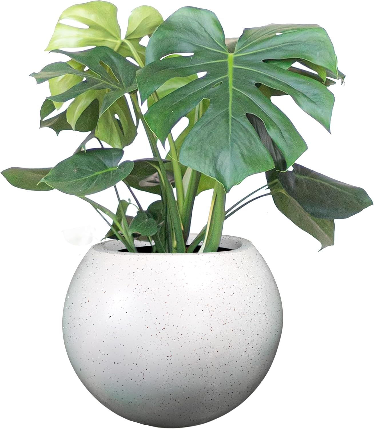 Amazon.com: Elly Décor 12-inch Round Fiberstone Planter, Sphere Dotted ...