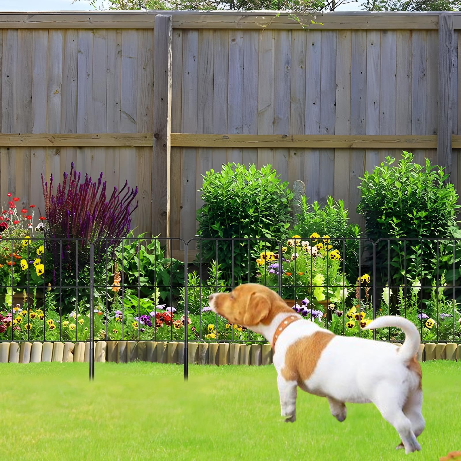 Small Dog Fencing Options Dog Fence Freestanding Pet Gate & Dog