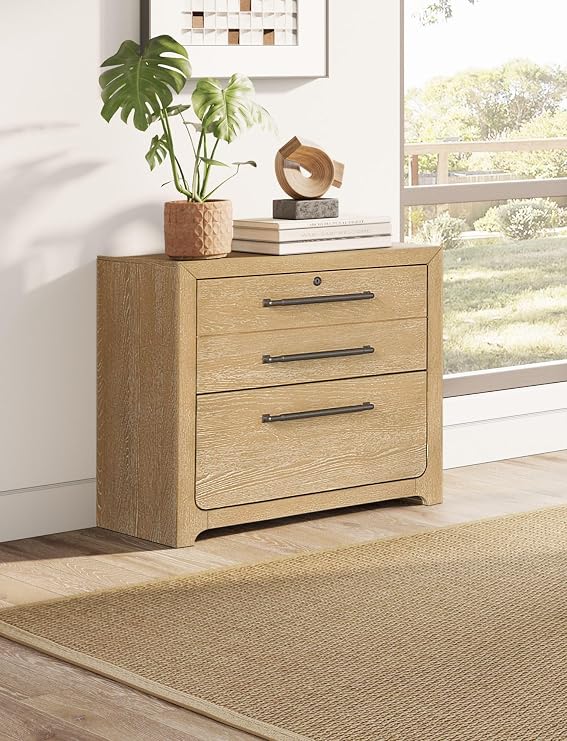 Amazon.com: Modern Wood Lateral File, Storage File Drawer, Office File ...