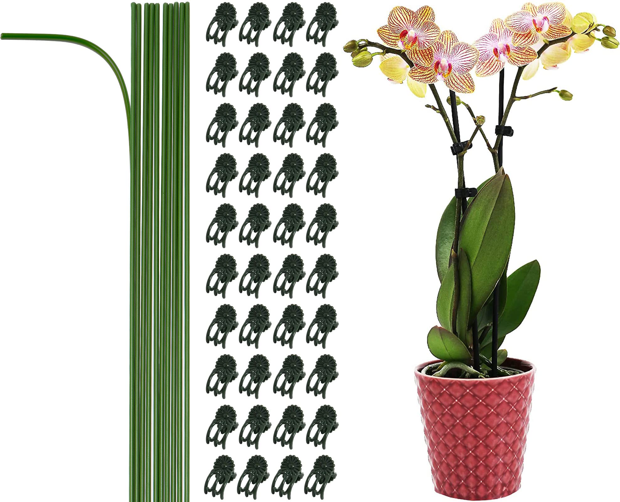 Amazon.com : 10-Piece 15 3/4-Inch Orchid Stakes and 40-Piece Clips Set ...