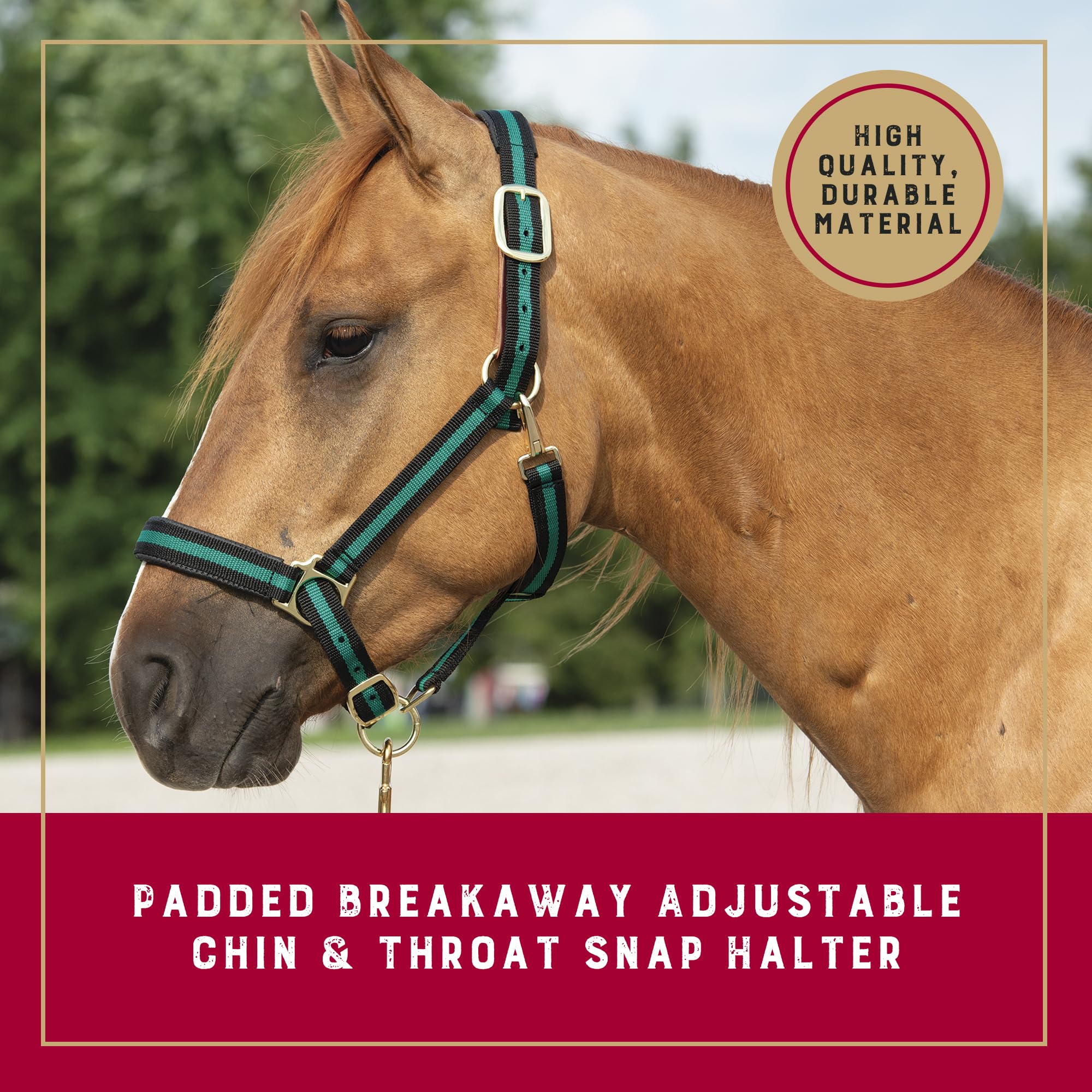 Snapklik.com : Breakaway Horse Halter, Comfort Foam Padding, Adjustable ...