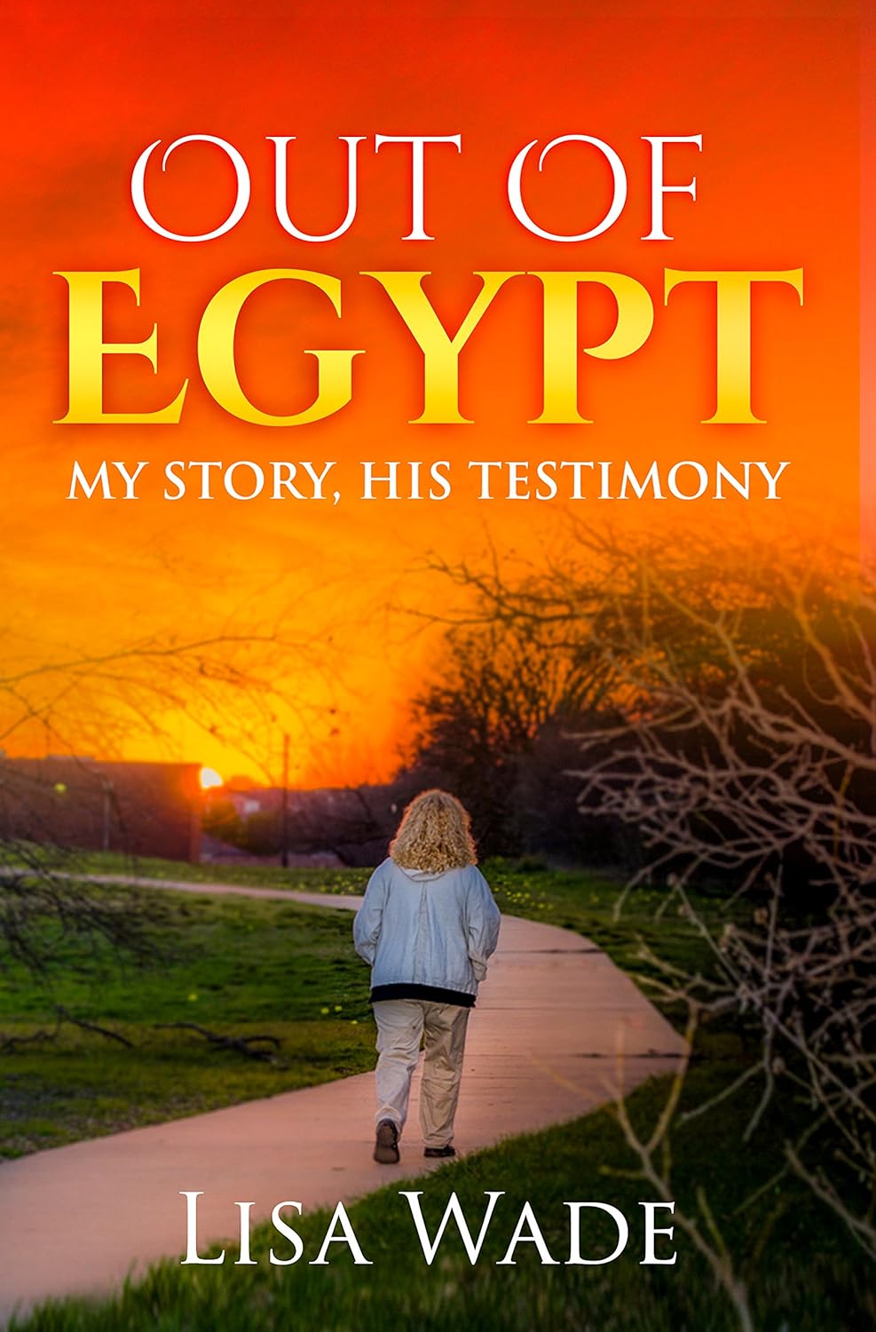 Amazon.com: Out Of Egypt: My Story, His Testimony eBook : Wade, Lisa ...