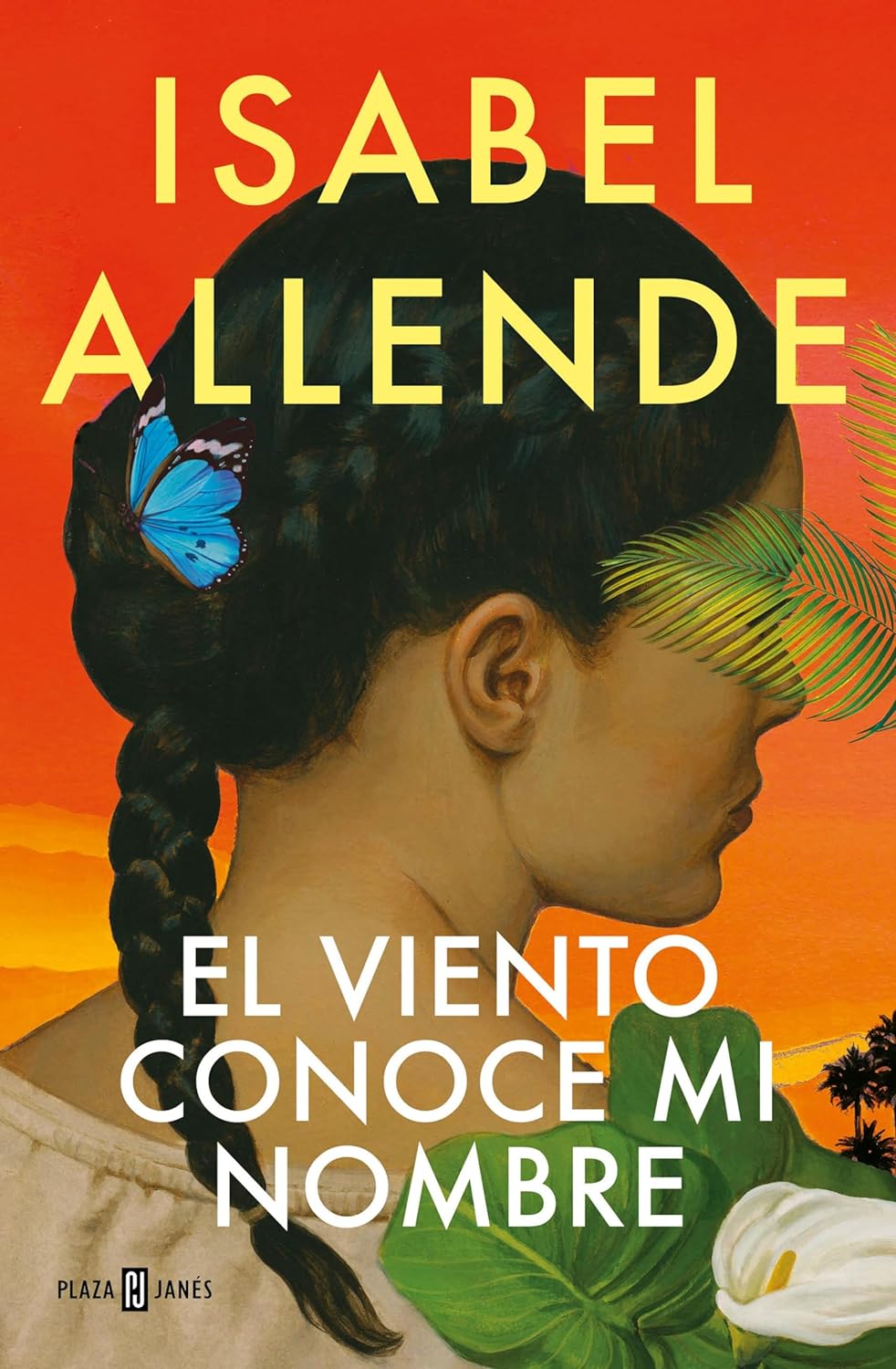 Amazon.com.br eBooks Kindle: El viento conoce mi nombre (Spanish ...