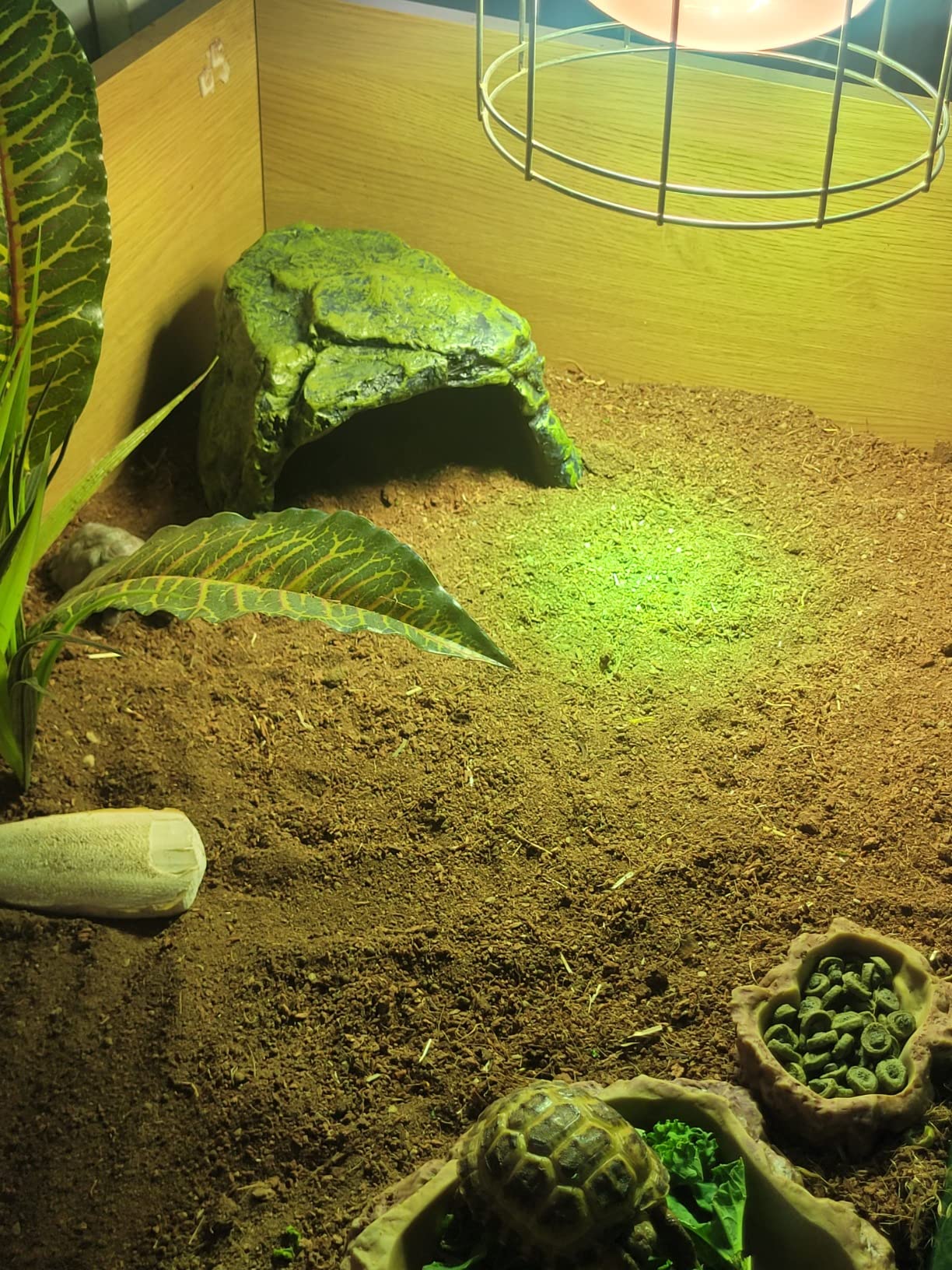 MUALROUS Reptile Rock Hideout Reptile Rock Hide Cave Reptile Hide Away ...