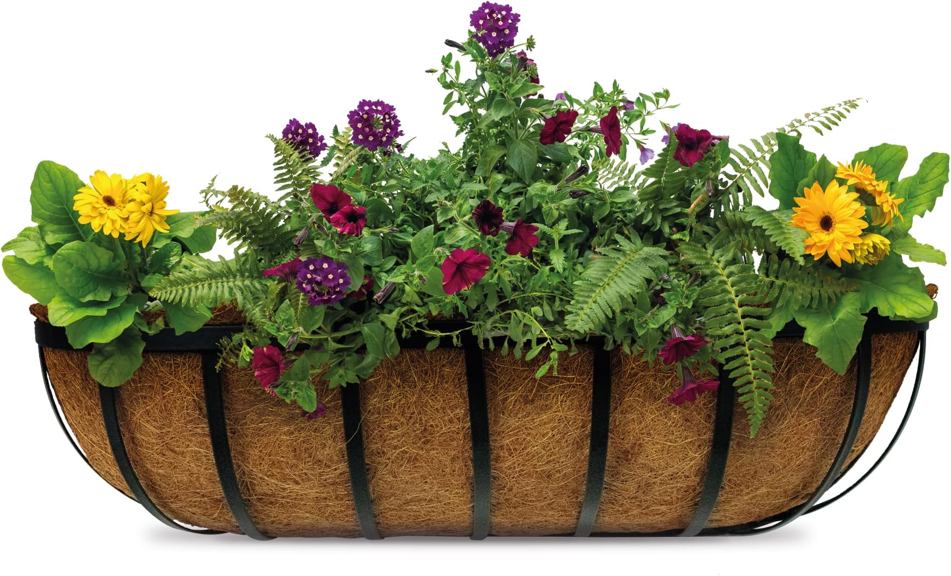 RUDDINGS WOOD Set of 2 x 24" (61cm) Metal Window Boxes - Garden Flower ...