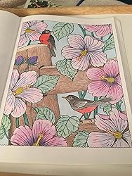 Amazon.com: Creative Haven NatureScapes Coloring Book (Adult Coloring ...