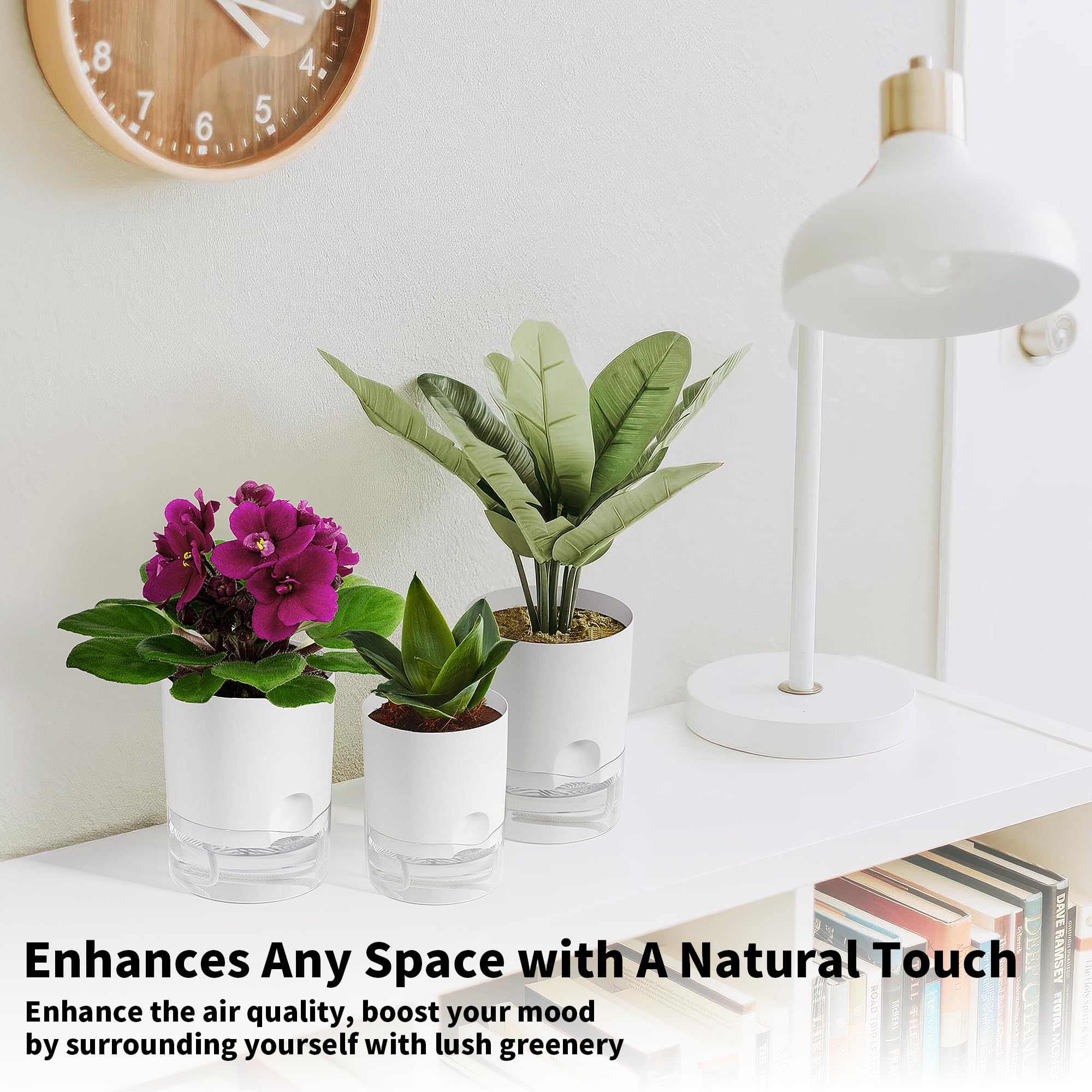 Snapklik.com : Tectsia African Violet Pots, 6 Pack 6/4 Inch Easy Plant ...