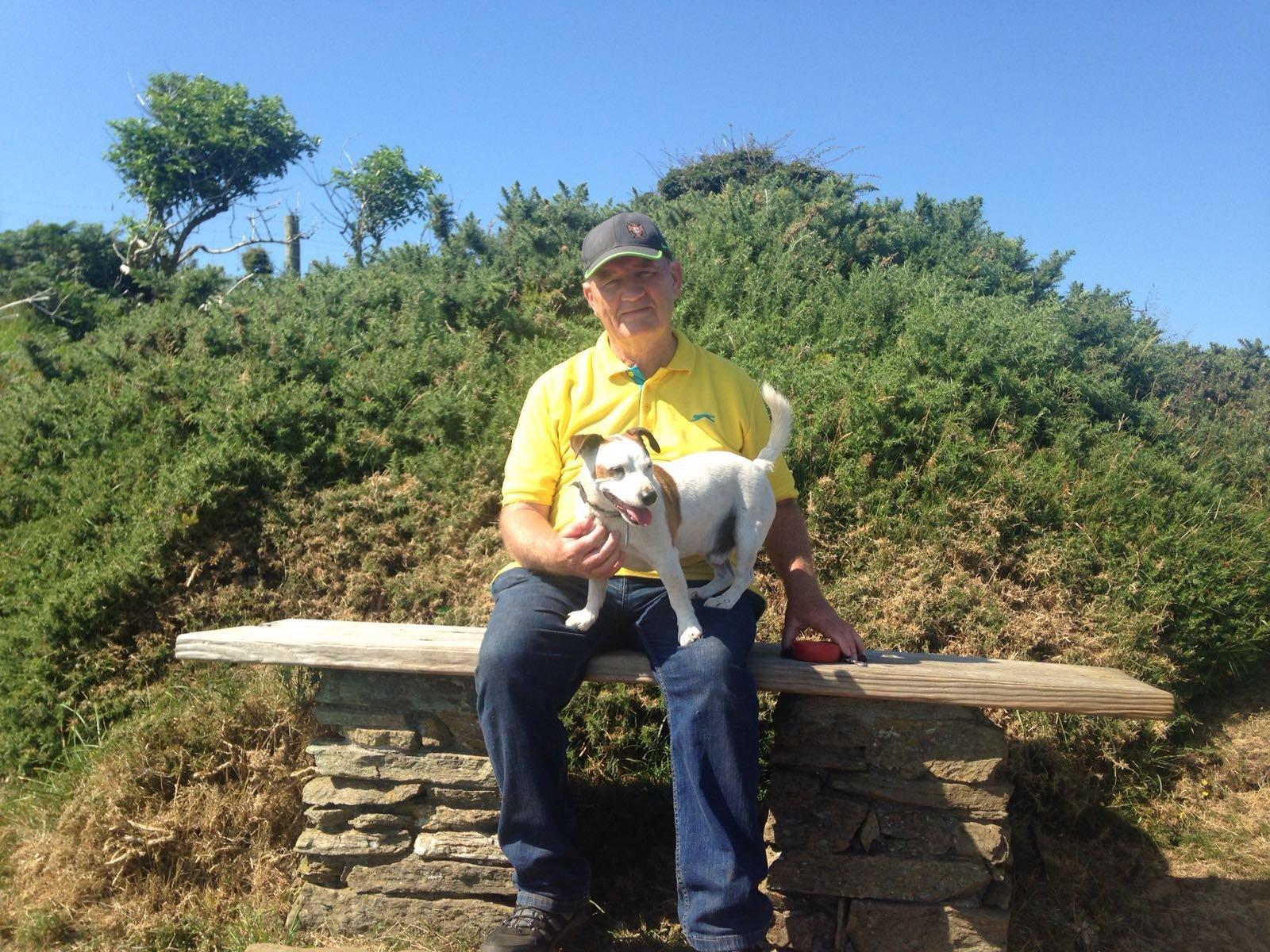 Amazon.com: It's a Mad, Mad, Mad, Mad World : Spencer Tracy, Milton ...