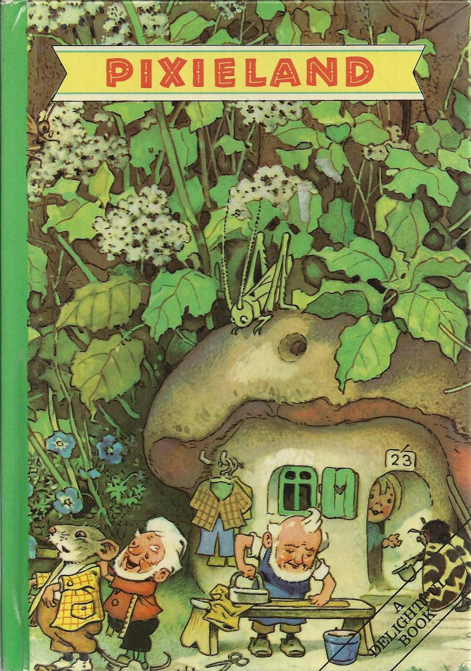 Pixieland (A Delightful Story Book): 9780862880941: Books - Amazon.ca