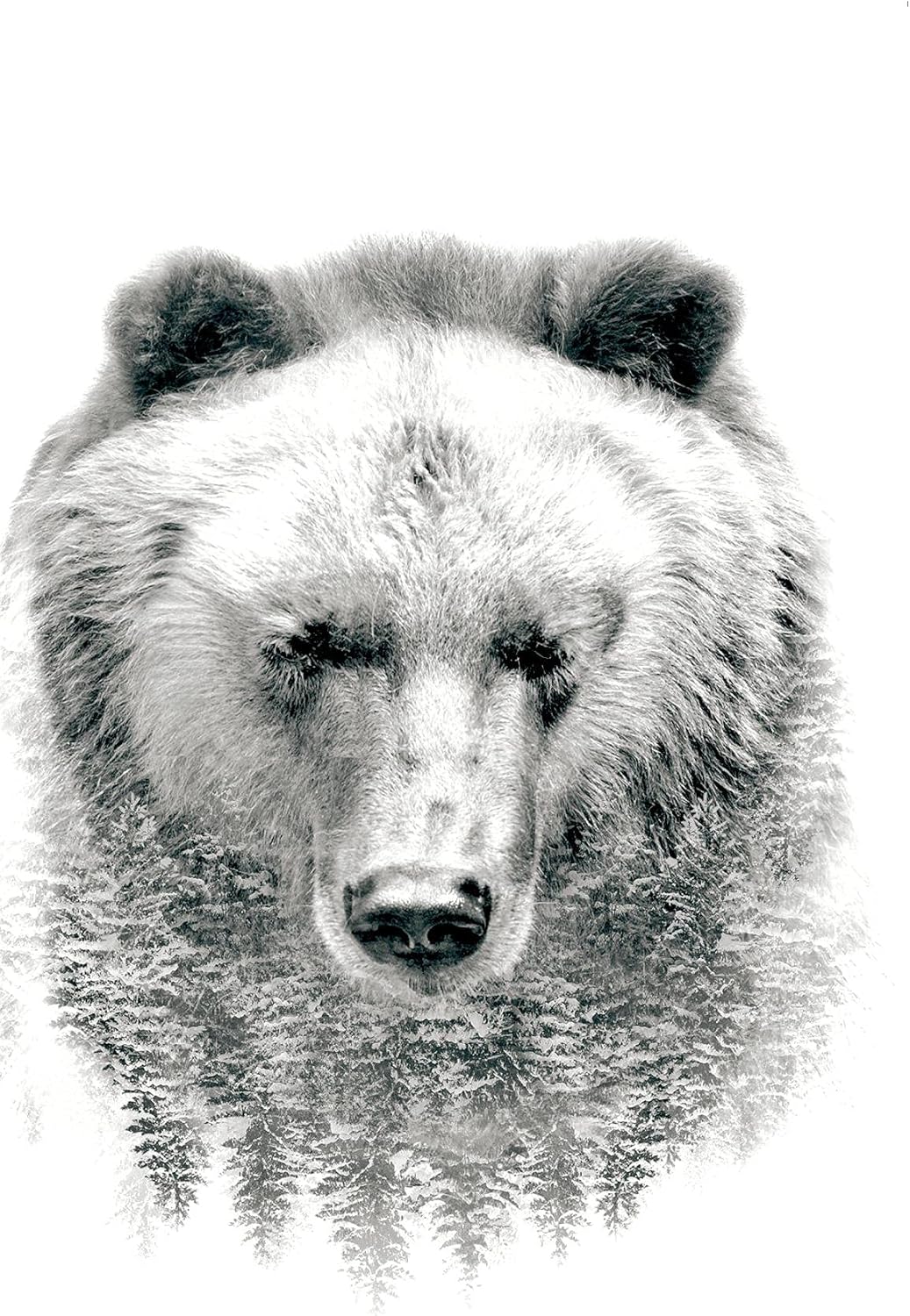 Amazon.com: Trends International Bear - Trees Wall Poster, 22.375" x 34 ...