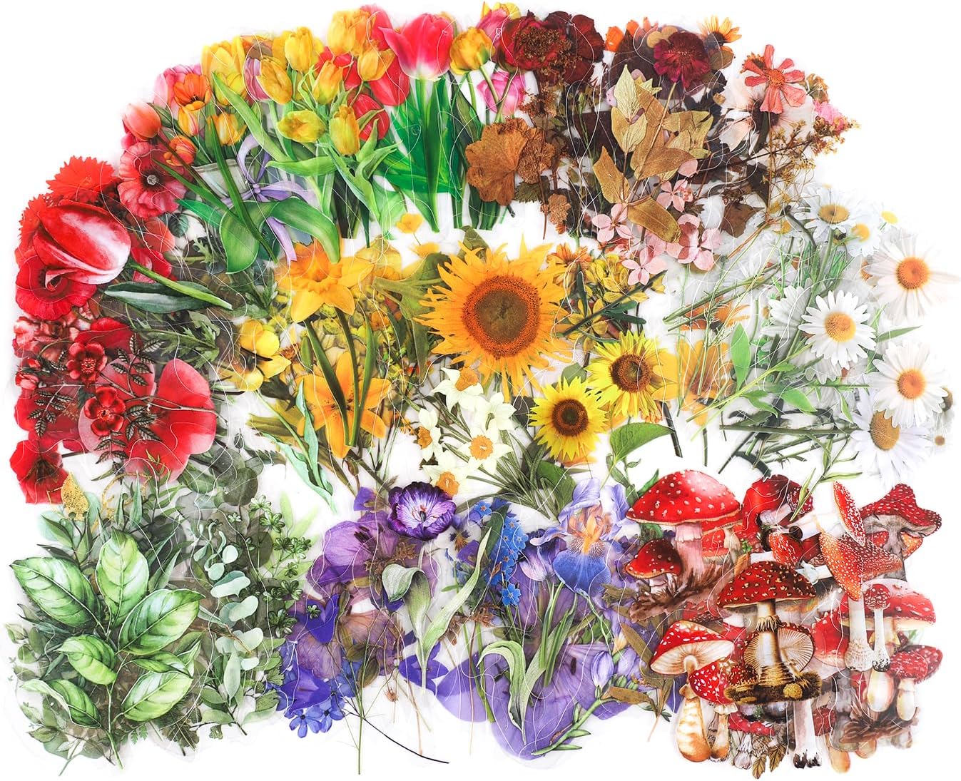 Amazon.com: 320pcs Botanical Stickers, Transparent Vintage Botanical ...