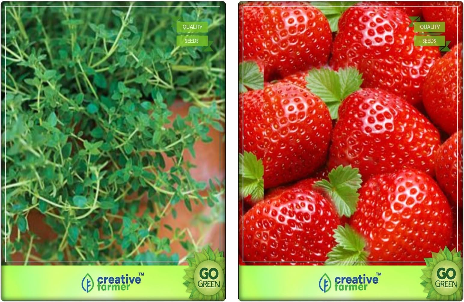 Alpine Strawberry Herb Seeds Pack - Fragaria Vesca, Wild Strawberry ...