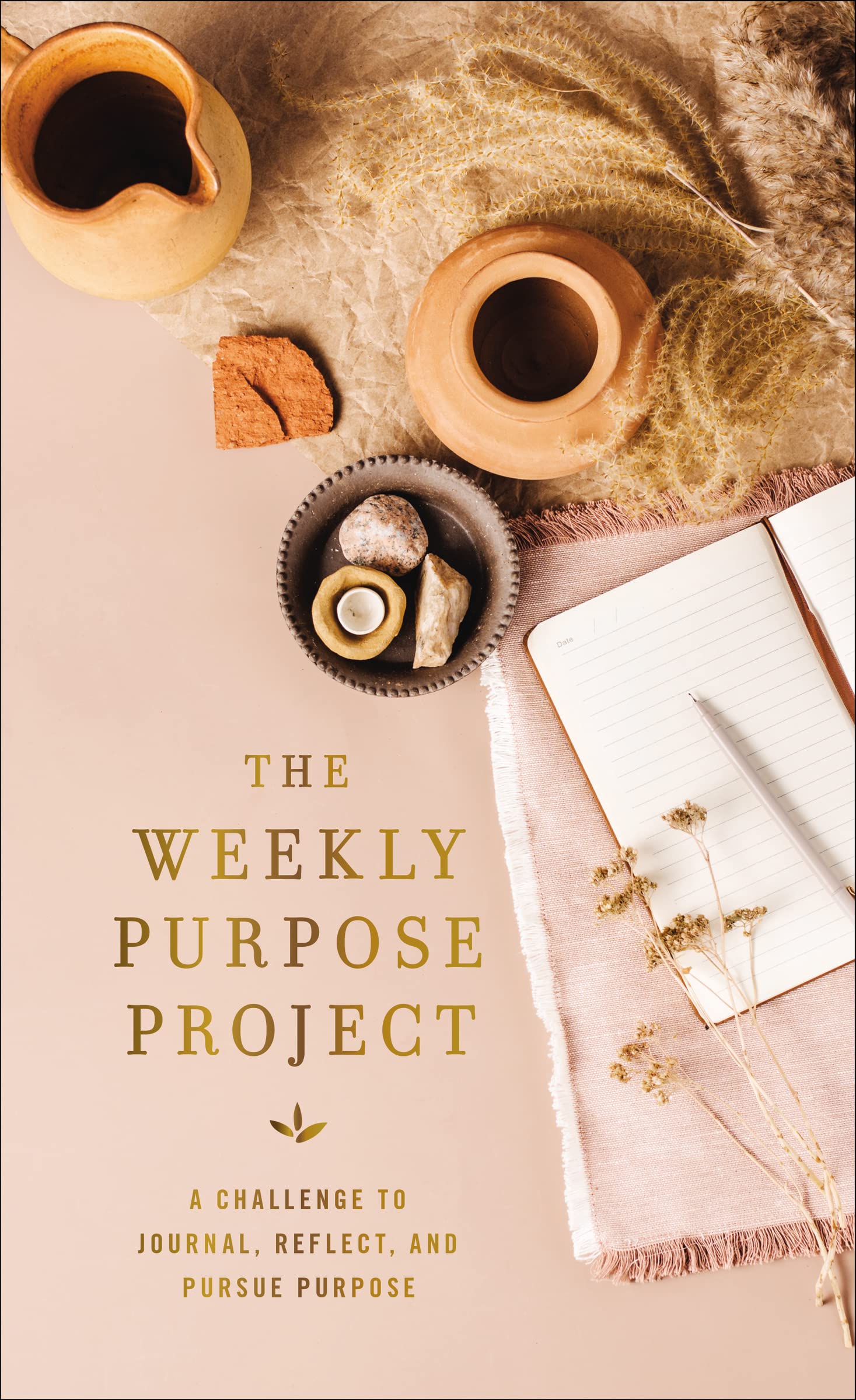 The Weekly Purpose Project: A Challenge to Journal, Reflect, and Pursue ...
