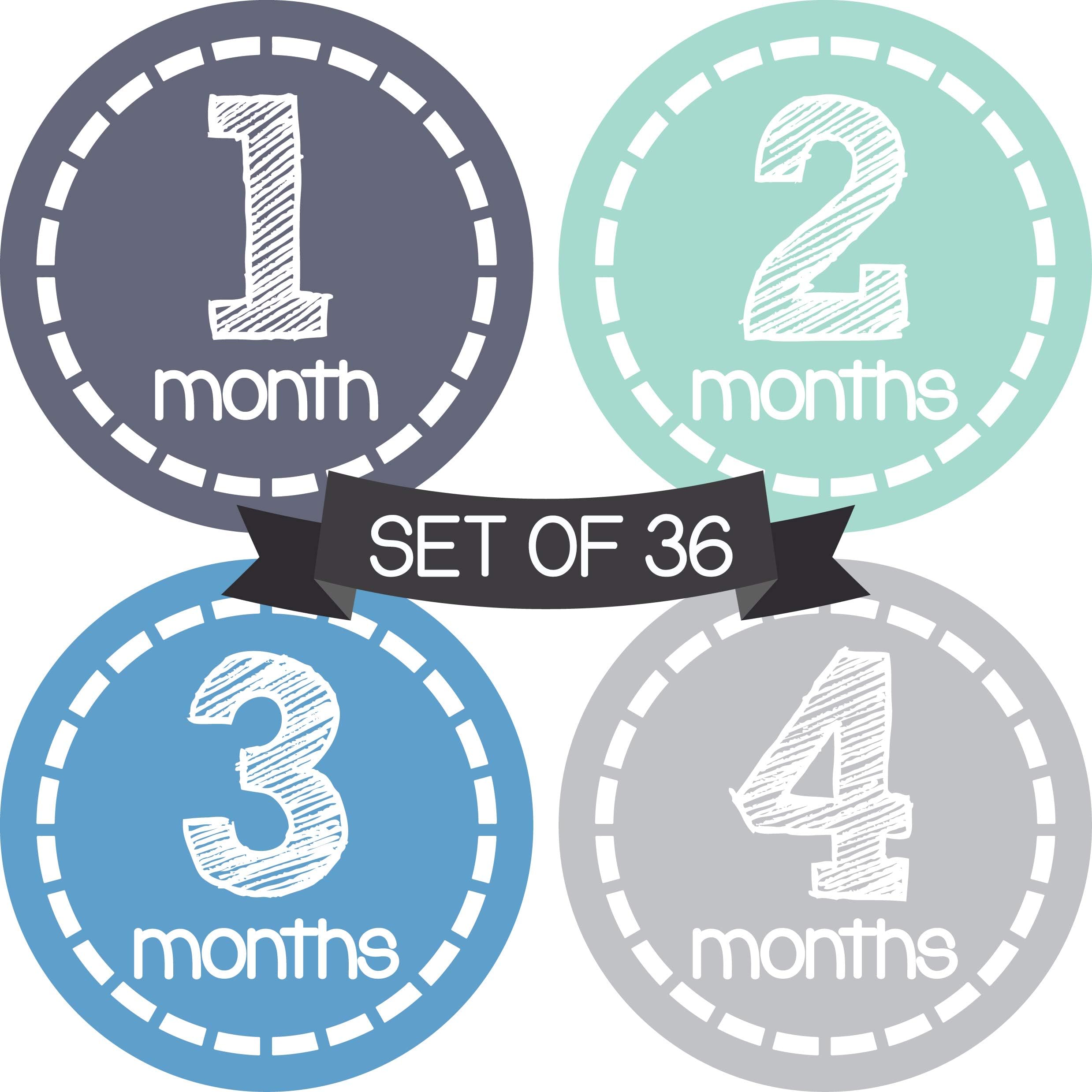 Amazon.com: Baby Monthly Stickers Boy - Baby Milestone Stickers - Baby ...