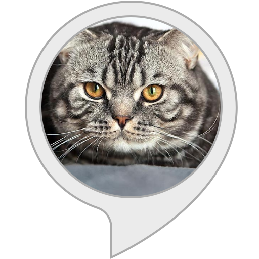 Amazon.com: Cat Facts : Alexa Skills