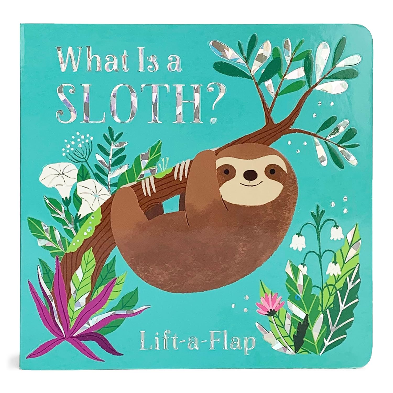What is a Sloth?: Swift, Ginger, Cottage Door Press, Montoya, Manu ...