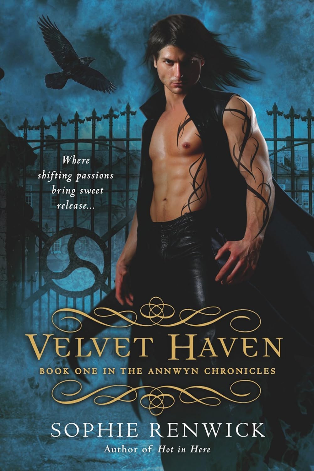 Velvet Haven: The Immortals of Annwyn: Book One (Annwyn Chronicles 1 ...