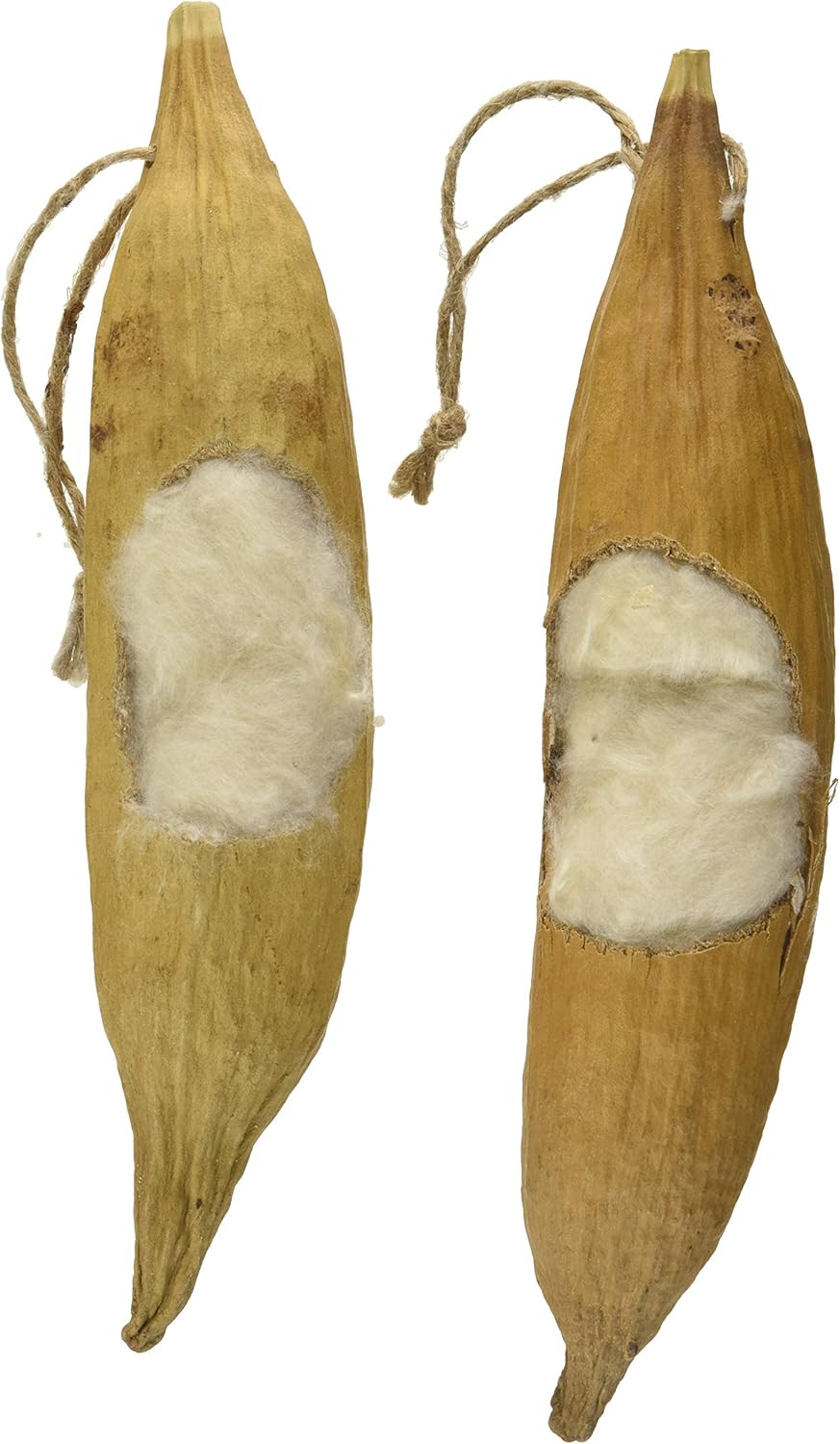 Amazon.com : Prevue Pet Products Naturals Mod Pods for Small Animals ...