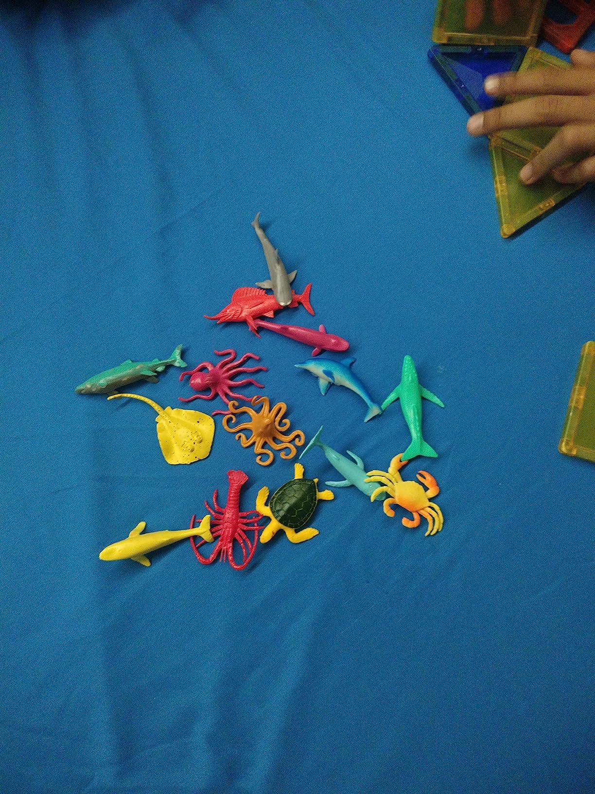 Amitasha Aquatic Sea Animal Toy for Kids - 16 Pcs Water World Marine ...