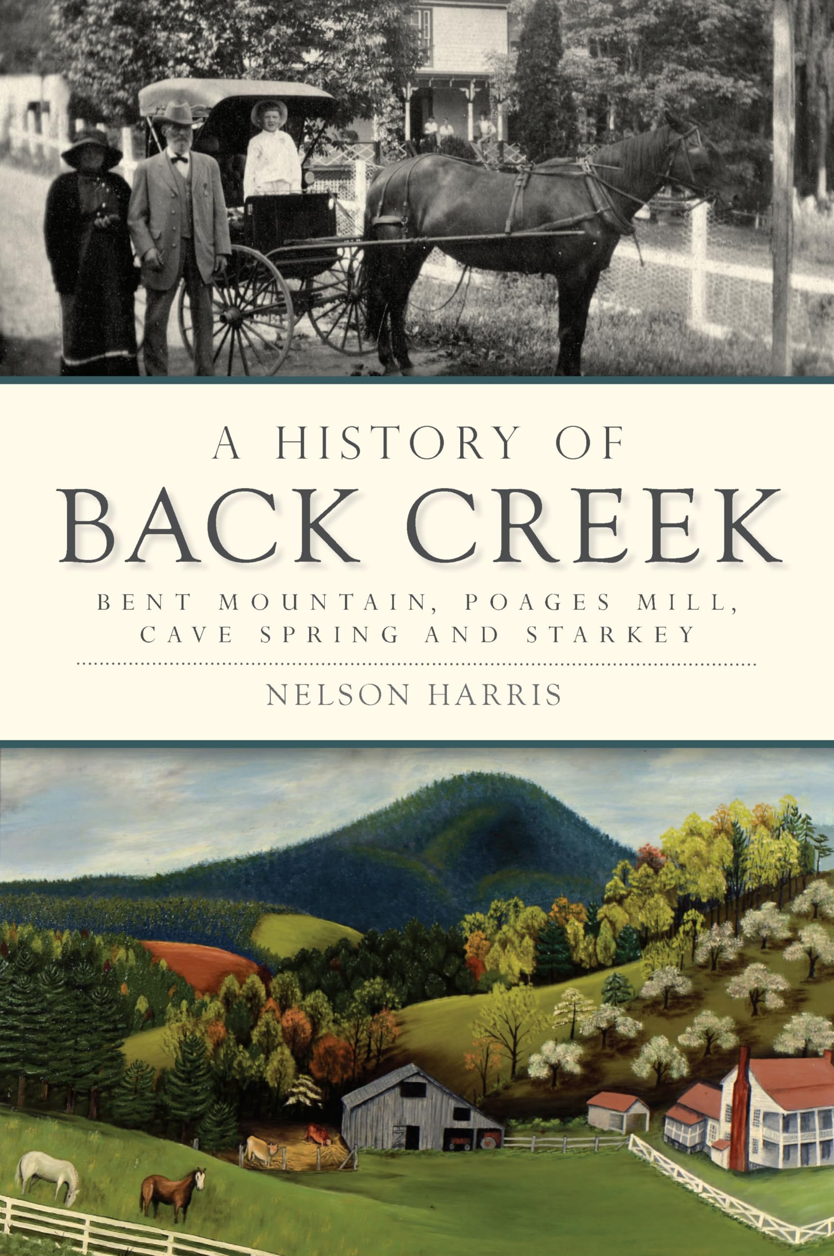 A History of Back Creek: Bent Mountain, Poages Mill, Cave Spring and ...