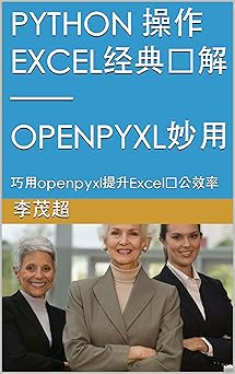 Amazon | PYTHON 操作EXCEL经典讲解—— OPENPYXL妙用: 巧用openpyxl提升Excel办公效率 (python提升办公效率经典丛书系列 ...