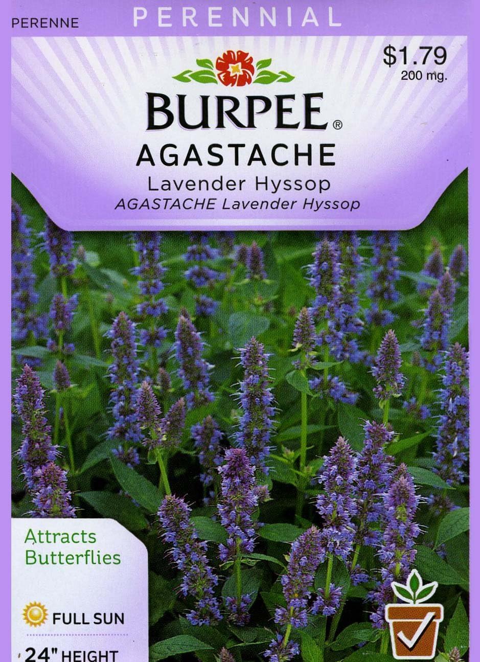 Amazon.com : Burpee 40191 Agastache Lavender Hyssop Seed Packet : Lawn ...