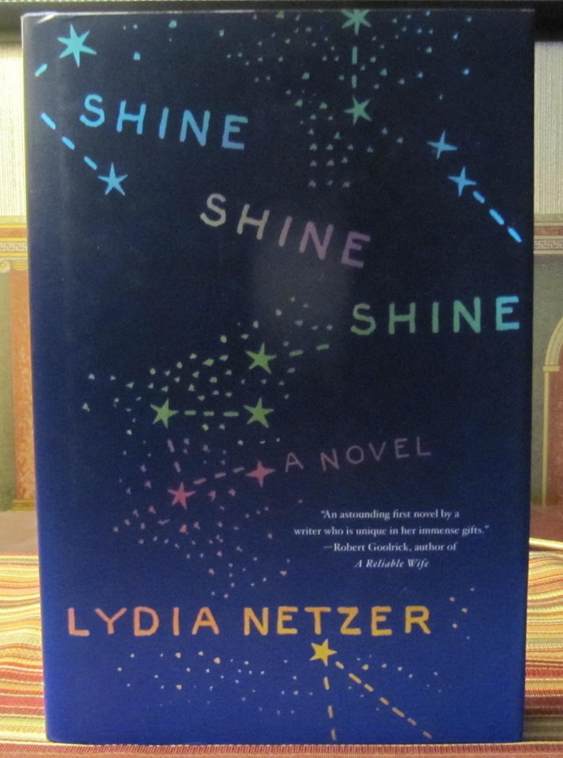 Shine Shine Shine: Netzer, Lydia: 9781250007070: Amazon.com: Books
