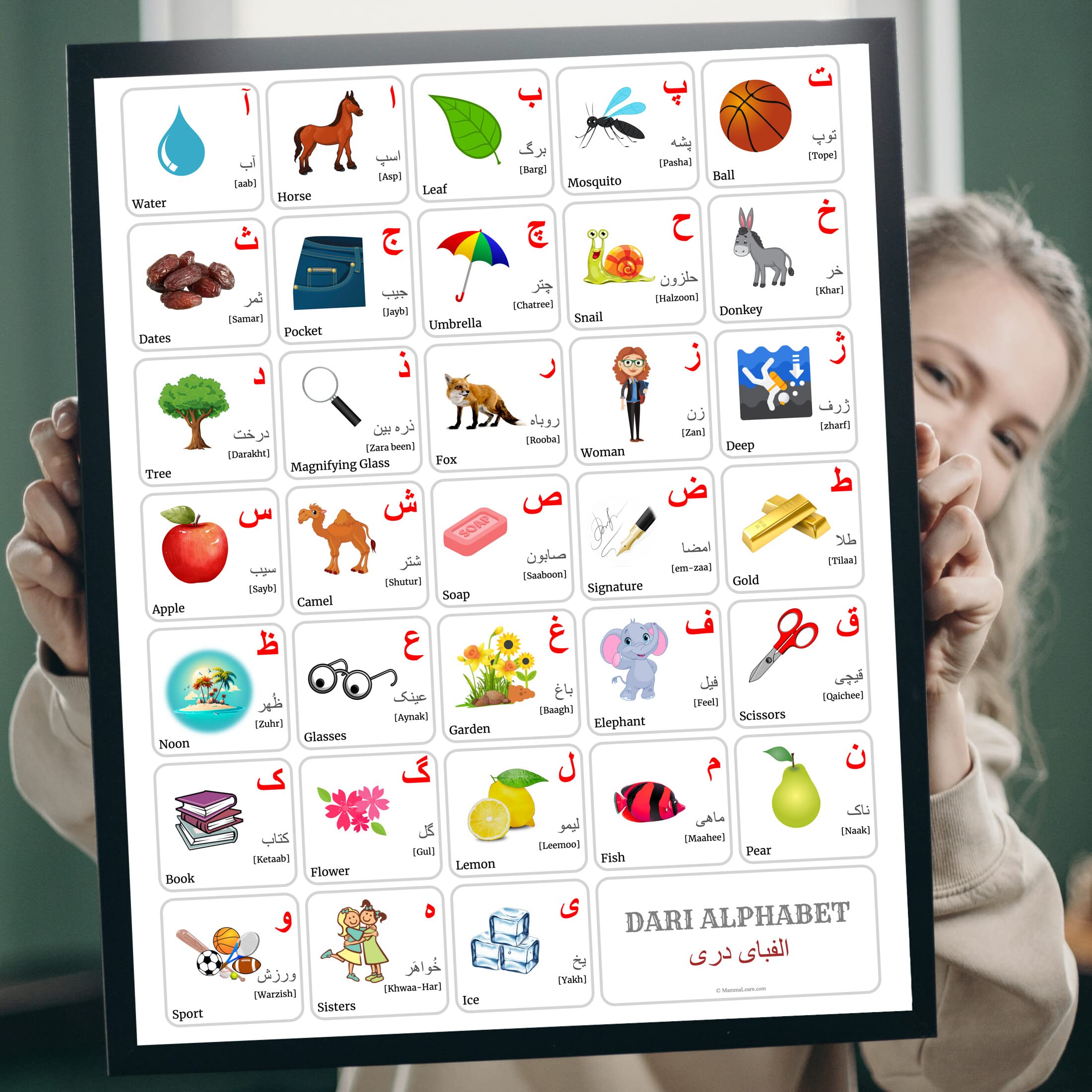 Dari Alphabet Dari Children's Book, Alphabet And Basic Words With