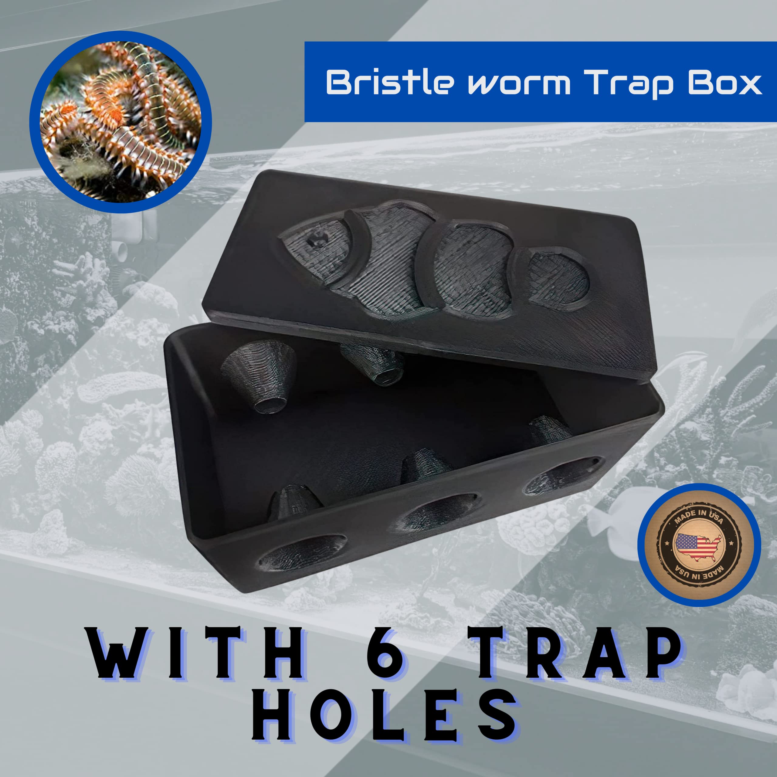 Bristle Worm Trap