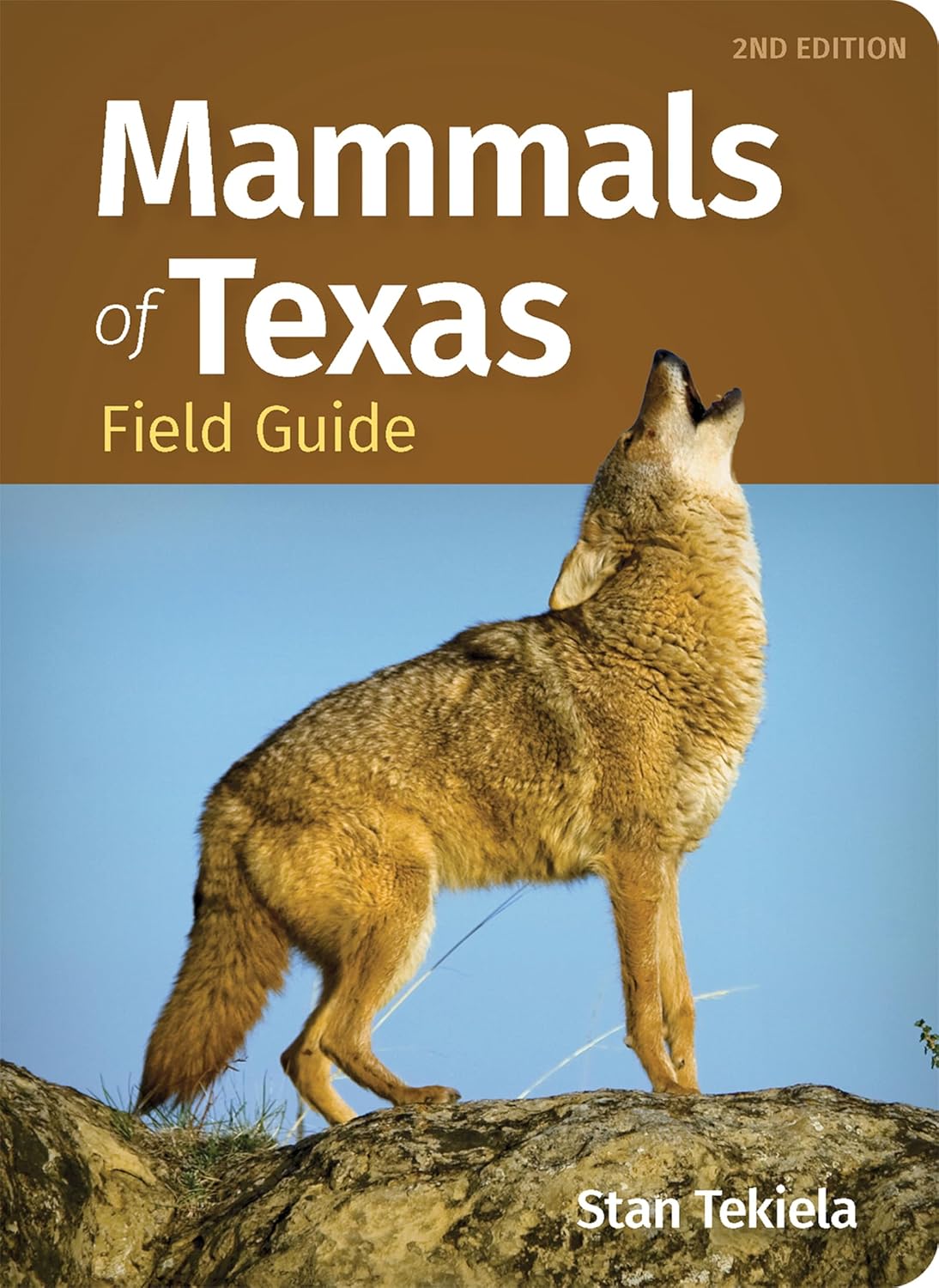 Amazon | Mammals of Texas Field Guide (Mammal Identification Guides ...