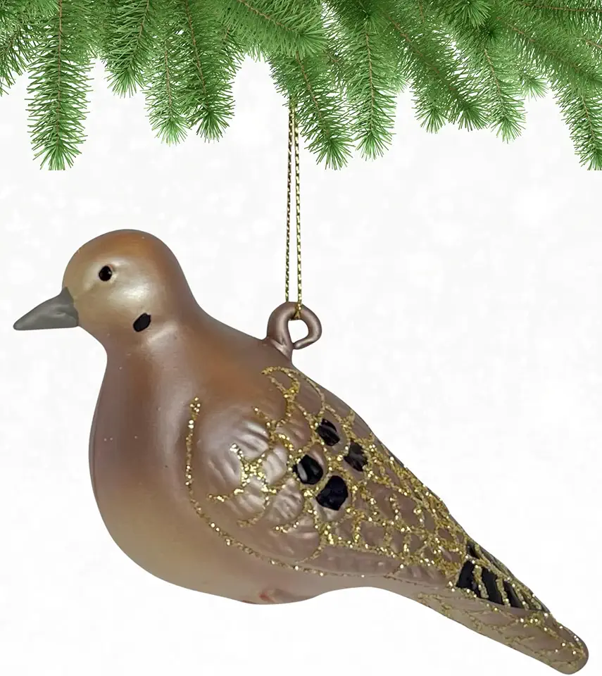 Caring For Mourning Doves: A Guide To Having These Beautiful Birds As ...