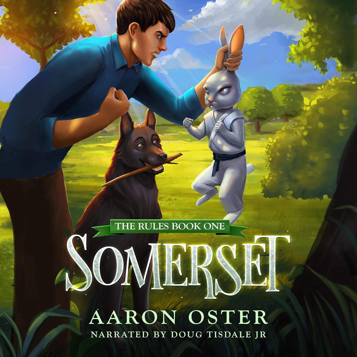 Amazon.com: Somerset: The Rules, Book 1 (Audible Audio Edition): Aaron ...