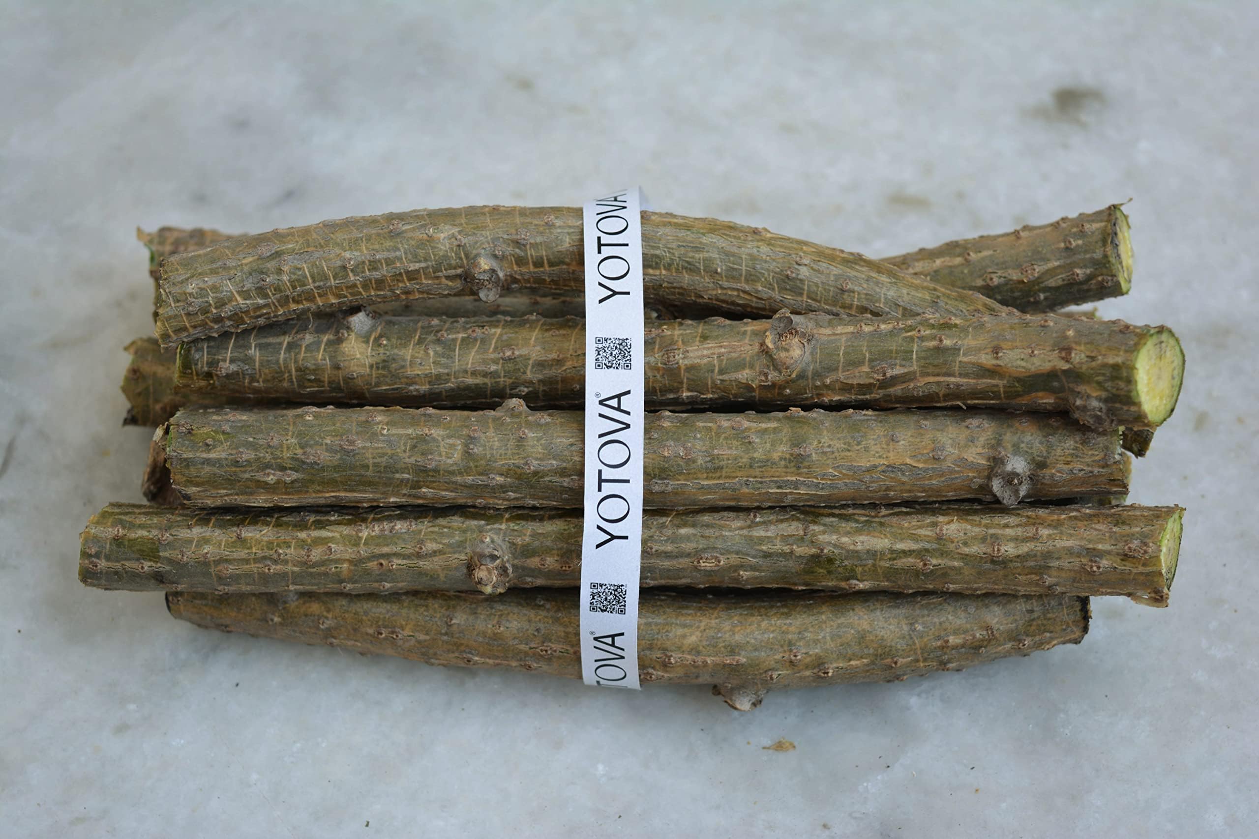 YOTOVA Natural Giloy Neem Tree Guruch Gulvel Guduchi Fresh Plant Stems ...