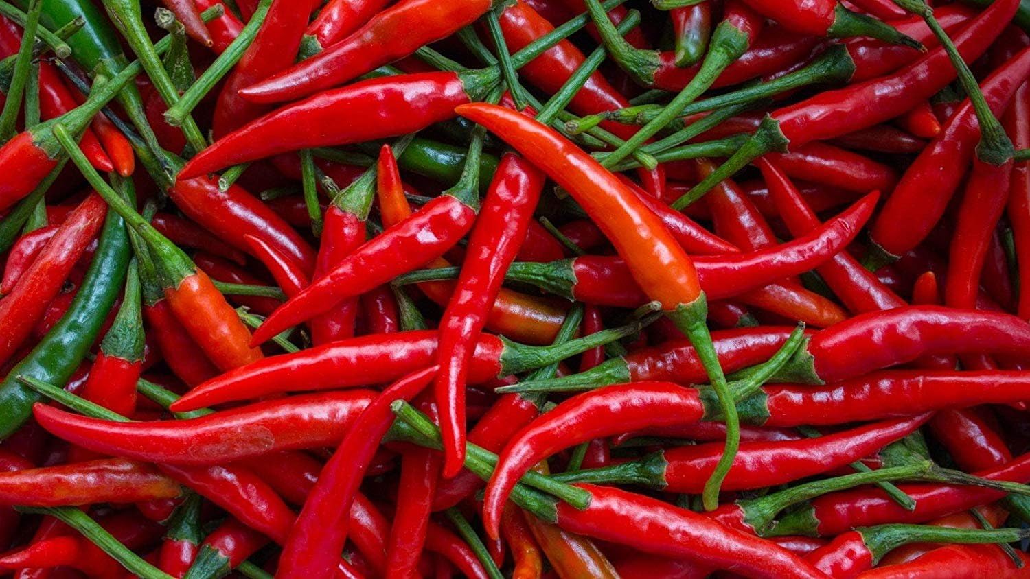 Amazon.com : Pepper, Hot Super Chili Hybrid - Pepper Seeds : Bell ...
